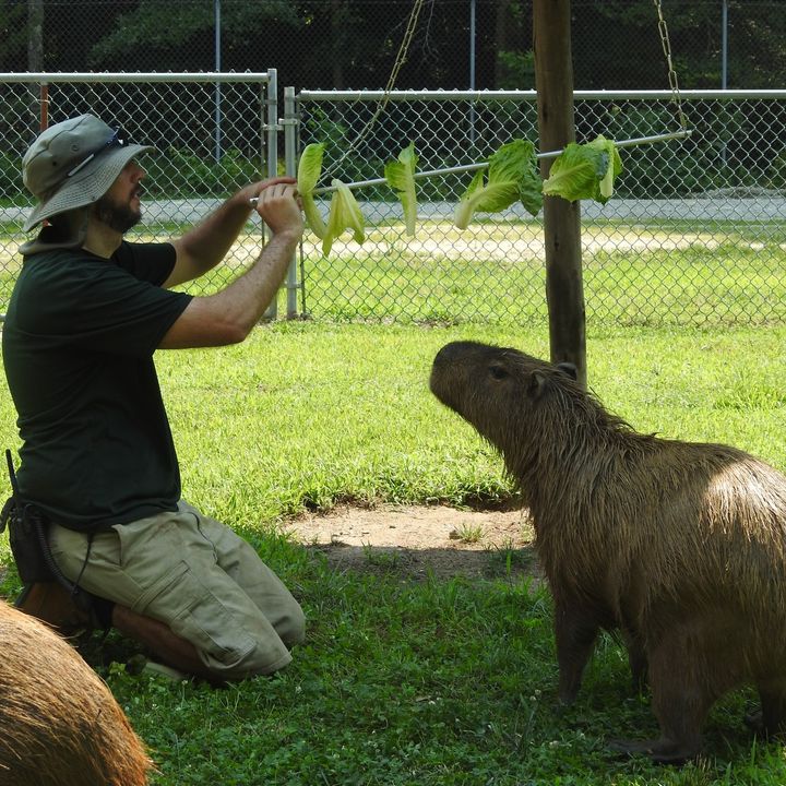 Happy International Zookeeper Day! 🎉 Have you ever wondered what it's ...