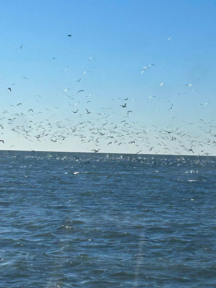 ***Amazing Weather Alert**** Tomorrow 1/3 PM looks really good for ...