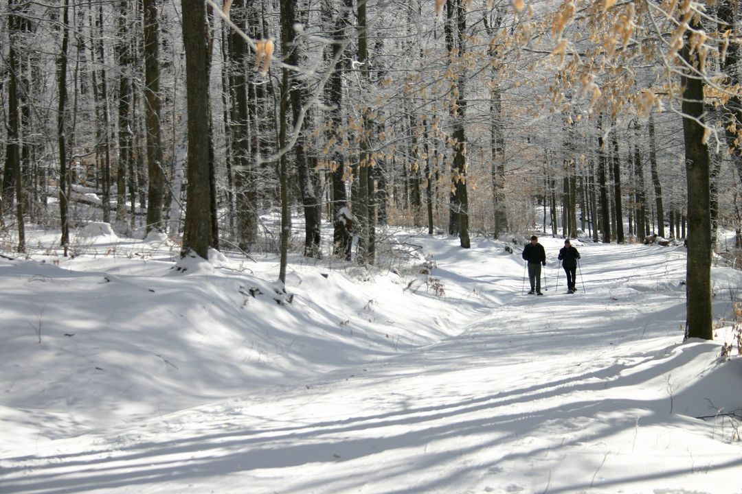 Got snow? Get your heart pumping, your muscles stretched and your lungs ...