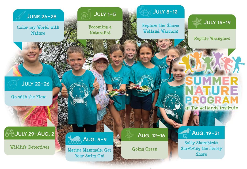 Registration for our 2024 Summer Nature Program is now open! For kids ...