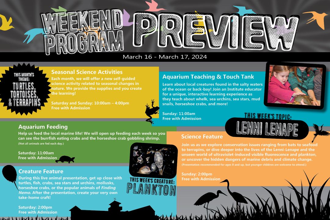 This weekend at the Institute, our Science Feature explores the history ...