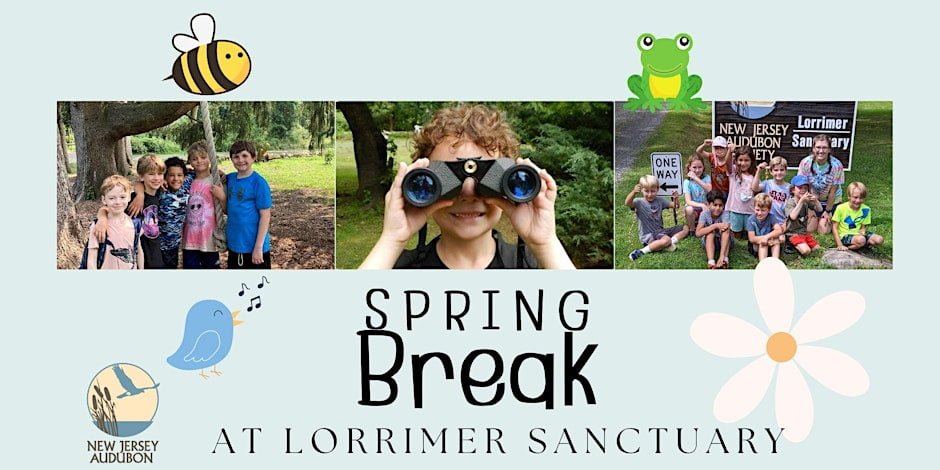 Join us for an exciting Spring Break at Lorrimer Sanctuary in Franklin ...