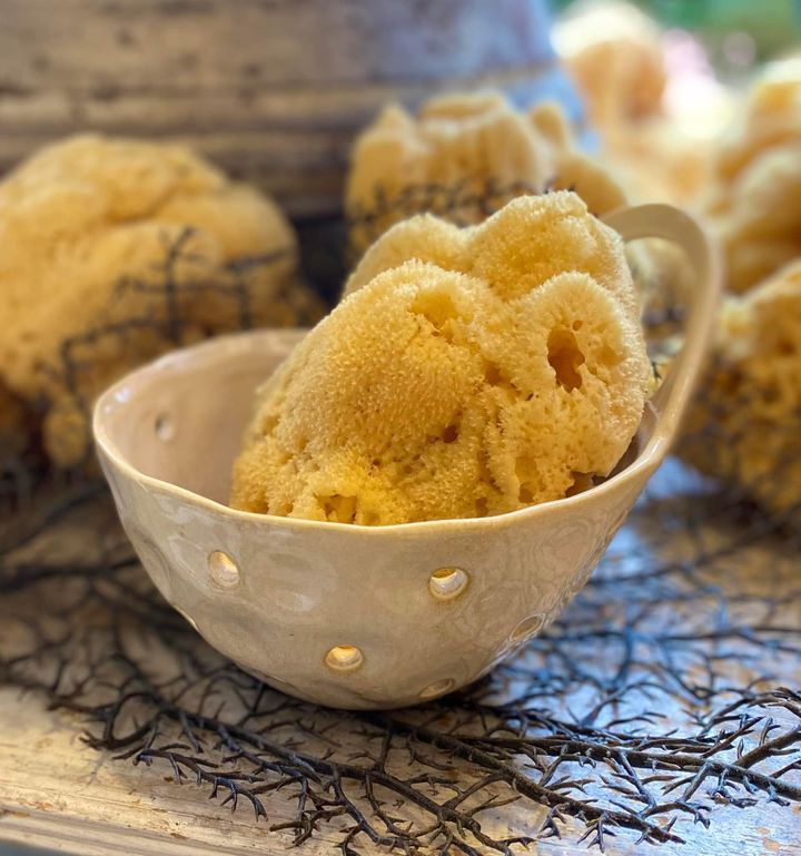 Our Natural Sea Sponges have always been a must-have for luxury bathing ...