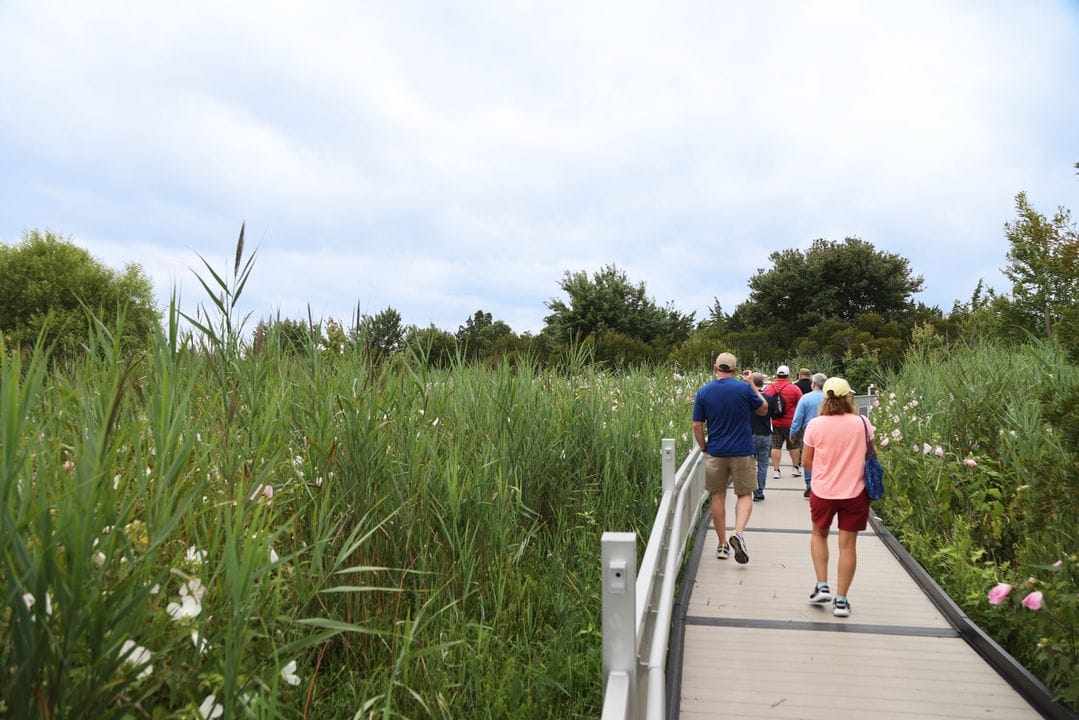 The Nature Conservancy unveiled a new ADA-compliant boardwalk trail at ...