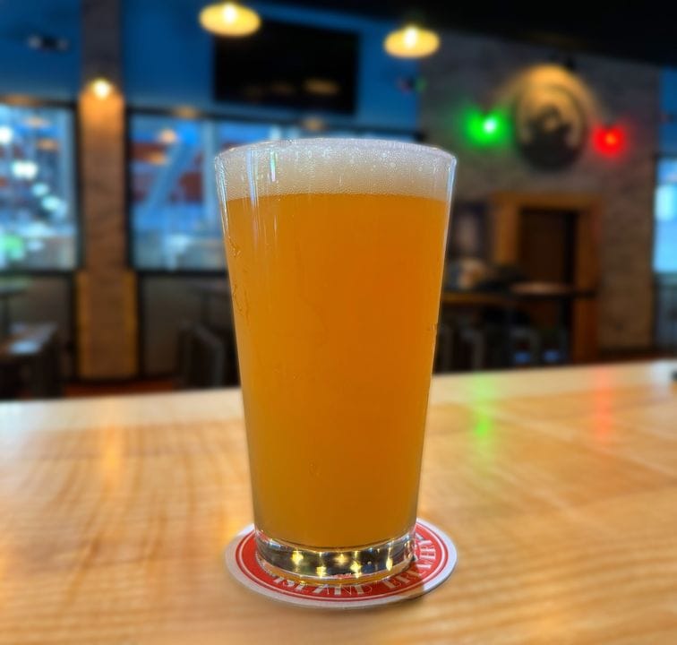 It’s National Hazy IPA Day!! | Things to Do in Cape May NJ