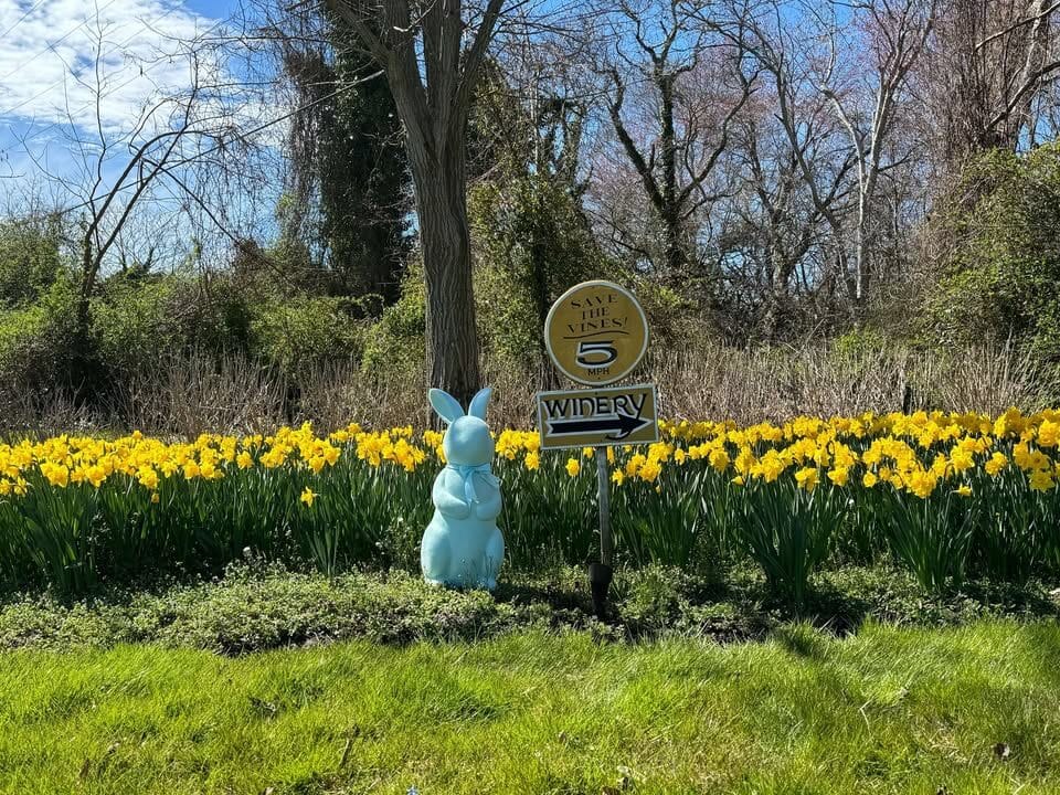 Hop into Easter at Willow Creek Winery! | Things to Do in Cape May NJ
