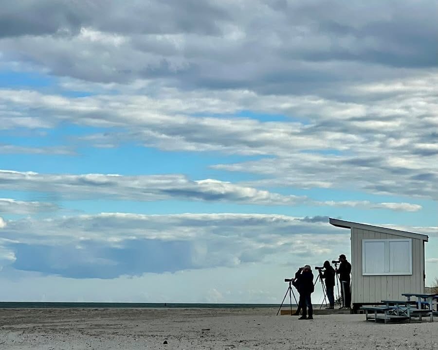 Our Cape May Fall Festival registration is now OPEN | Things to Do in ...