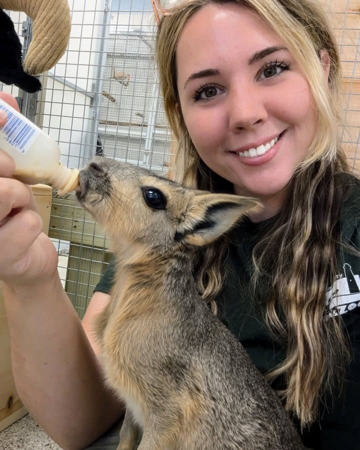 Happy Zookeeper Week: Meet the Keepers! | Things to Do in Cape May NJ