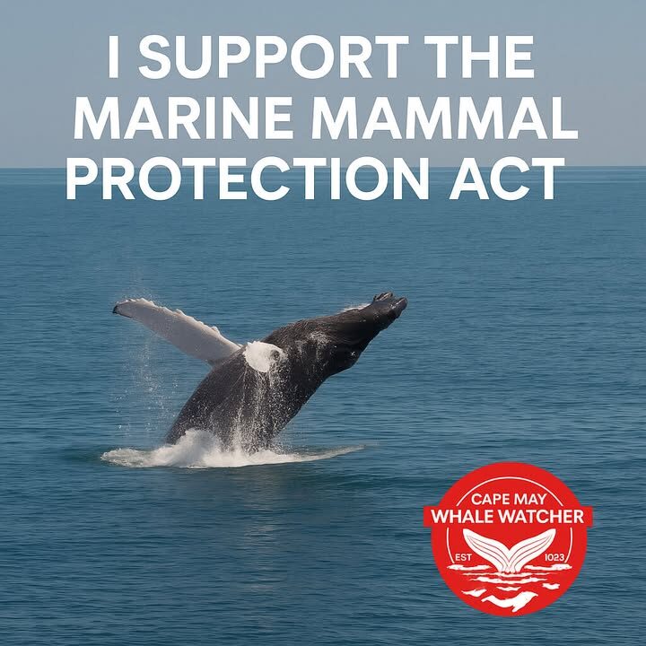 The Marine Mammal Protection Act was signed into law 53 years ago today ...