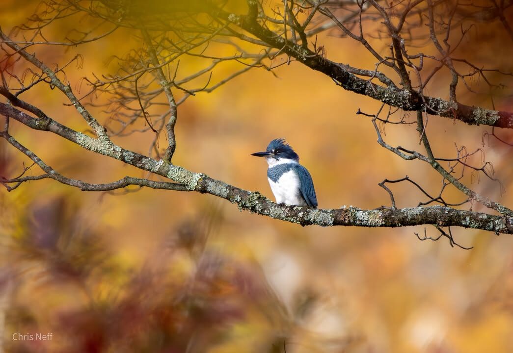 Find a nature themed event near you during the fall season | Things to ...